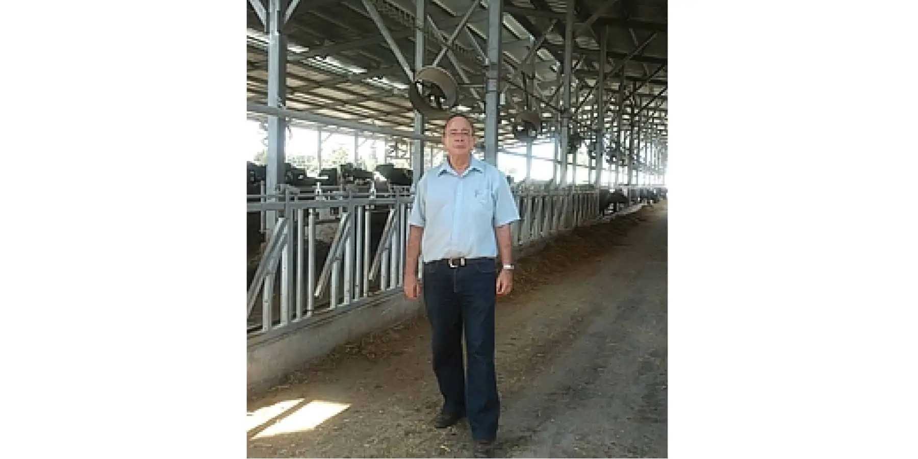 Managing Dairy Cows in an Extreme Warm Environment