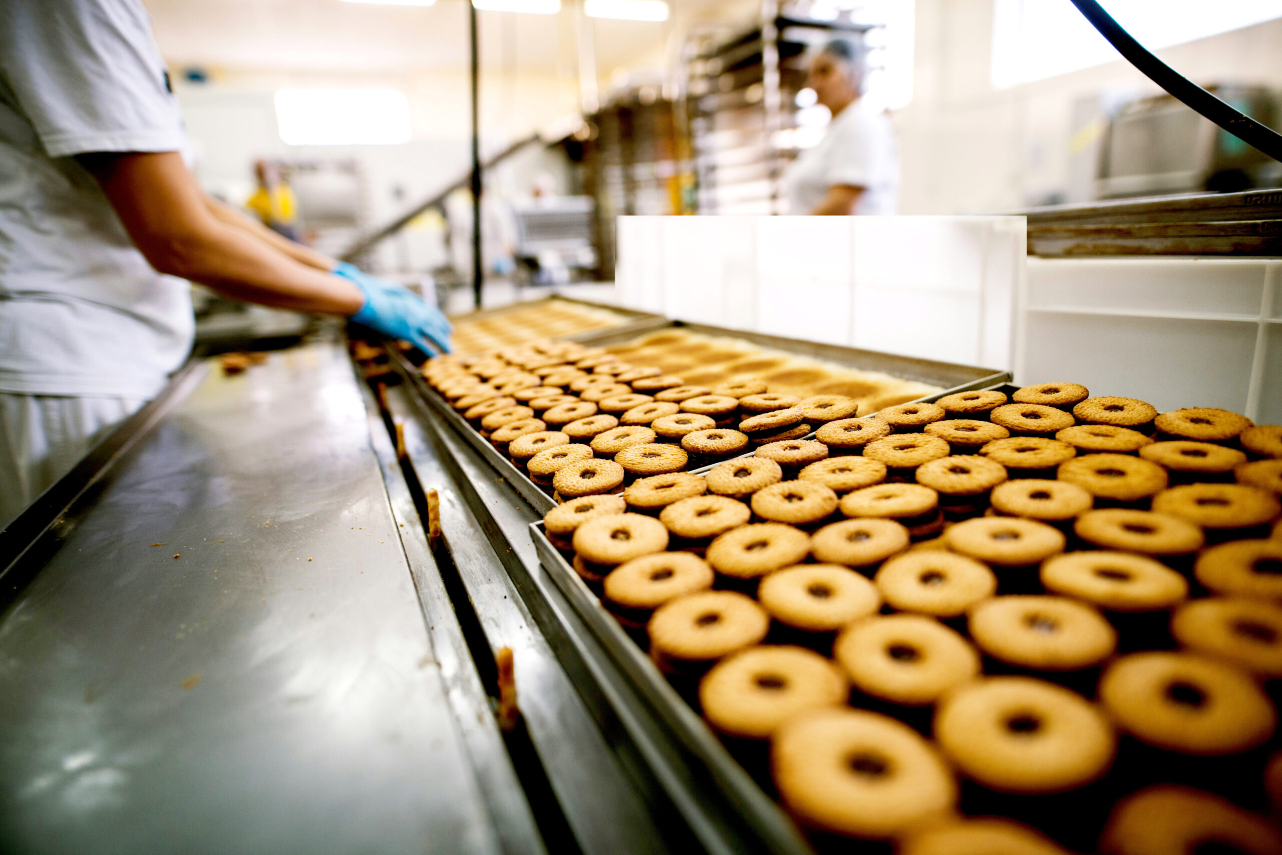 New Product Development - Balchem