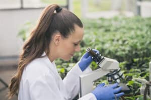 Balchem - Making the World a Healthier Place