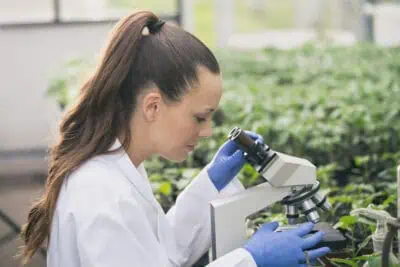 Balchem - Making the World a Healthier Place