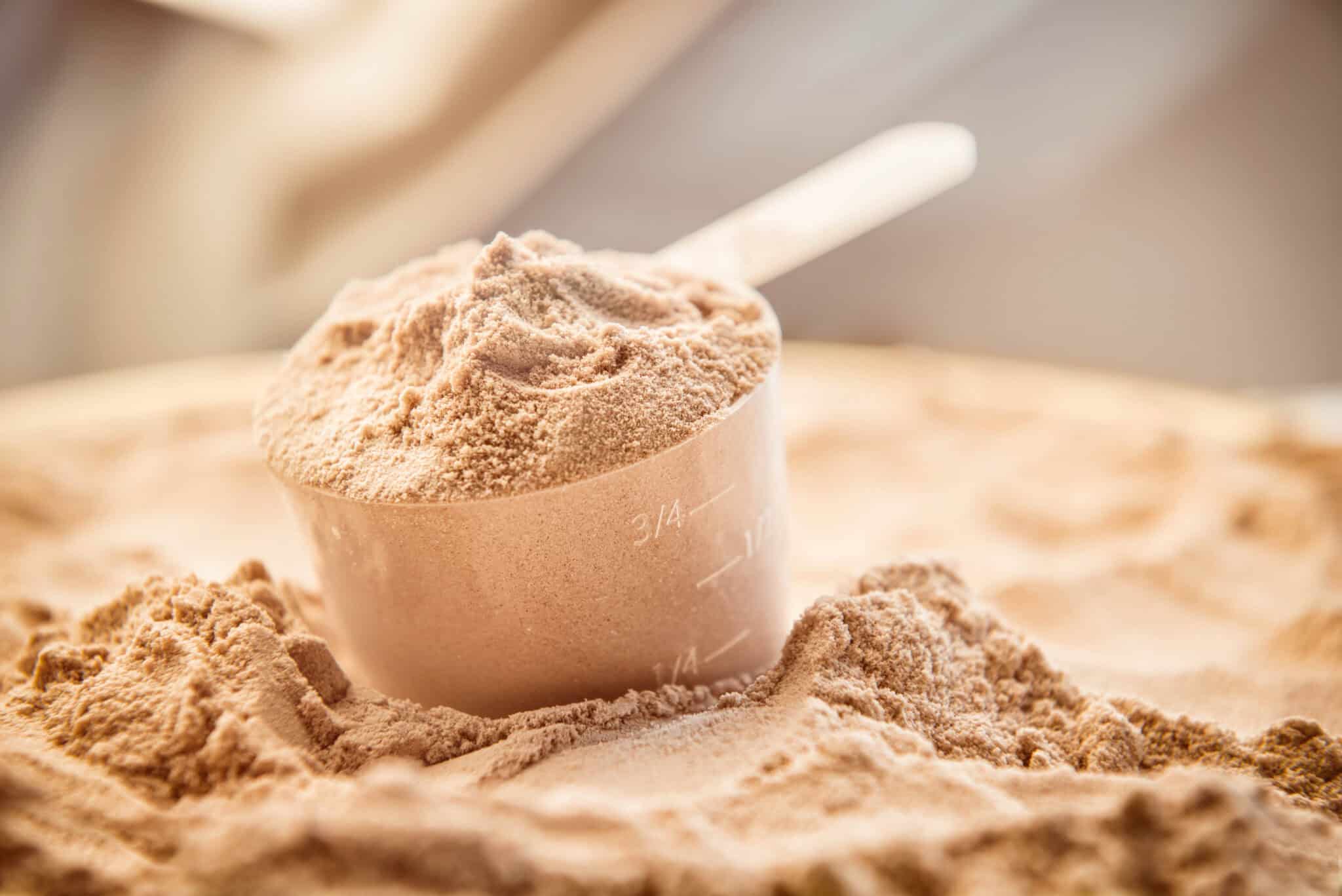 Functional Spray Dried Powders - Balchem