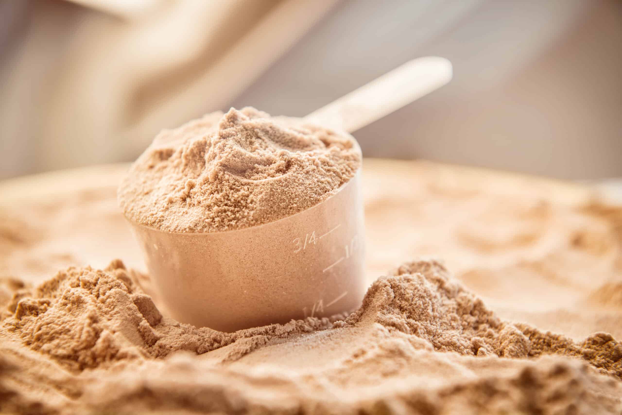 Functional Spray Dried Powders - Balchem