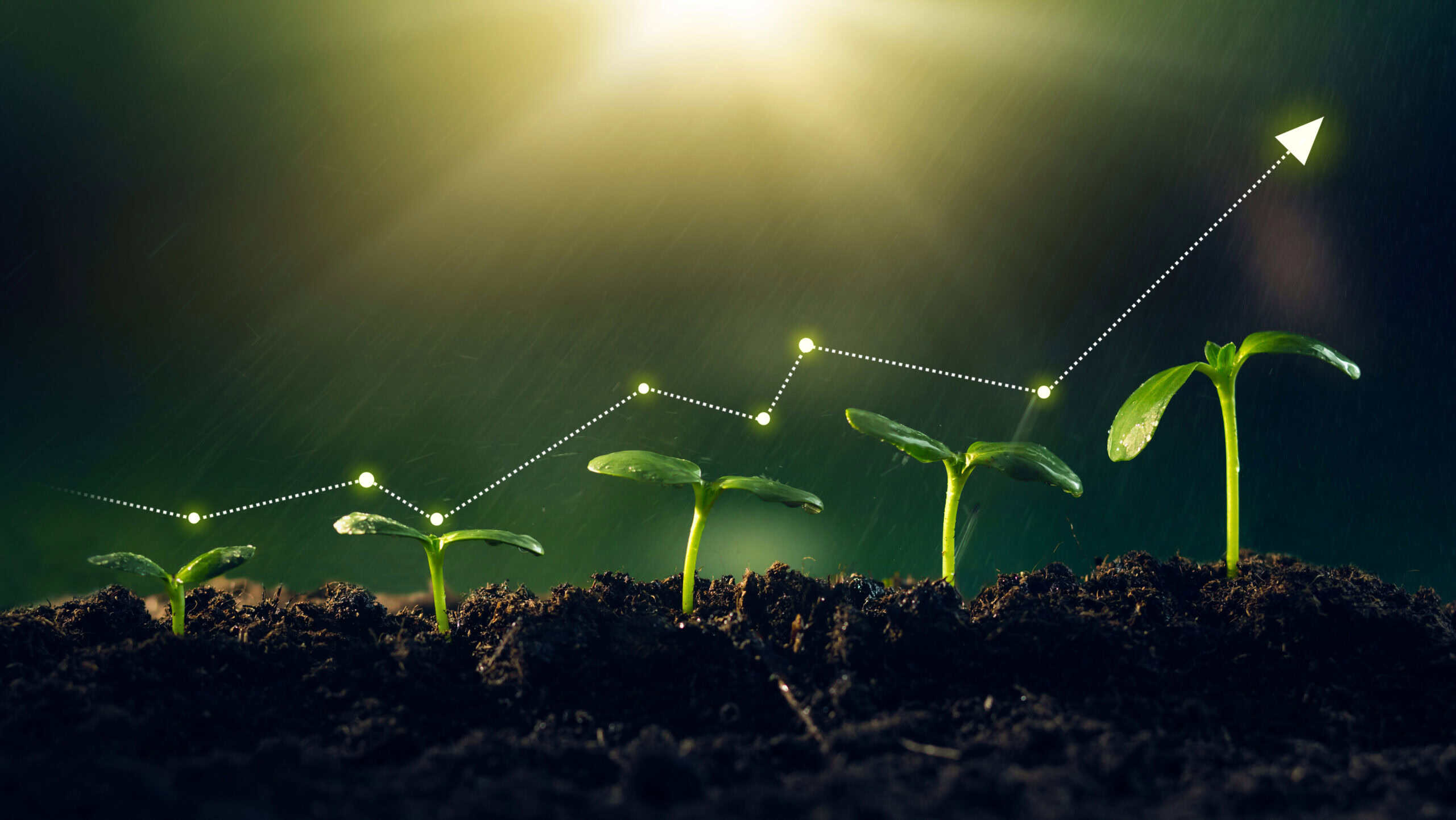 The Science Behind Biostimulants and Their Role in Crop Nutrition - Balchem